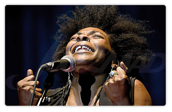 Lolo Diklo : Rromani Against Racism: BUIKA