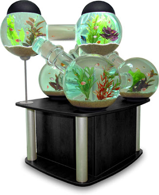 the amazing: amazing fish tanks