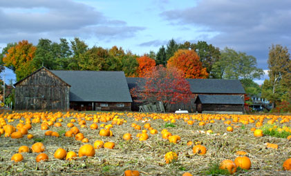 Fall Foliage is at its Peak in Central Massachusetts for Halloween Weekend