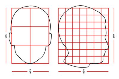 Cuaderno del Profe: Las proporciones en el rostro