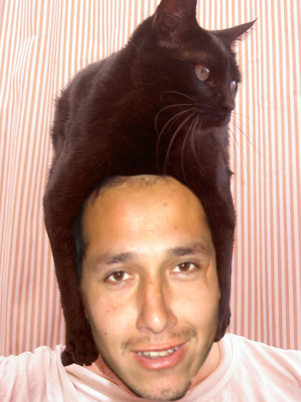 LOS PIBES DE LA OFICINA PARTE 2: APARECIO EL HOMBRE GATO EN EL ARCHIVO!!