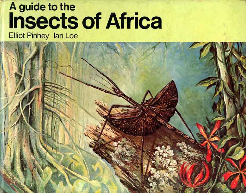 East African Notes and Records: THE LONGEST INSECTS IN THE WORLD