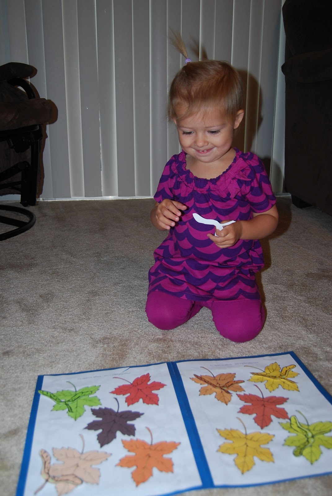 The Peterson Party: Leaves!