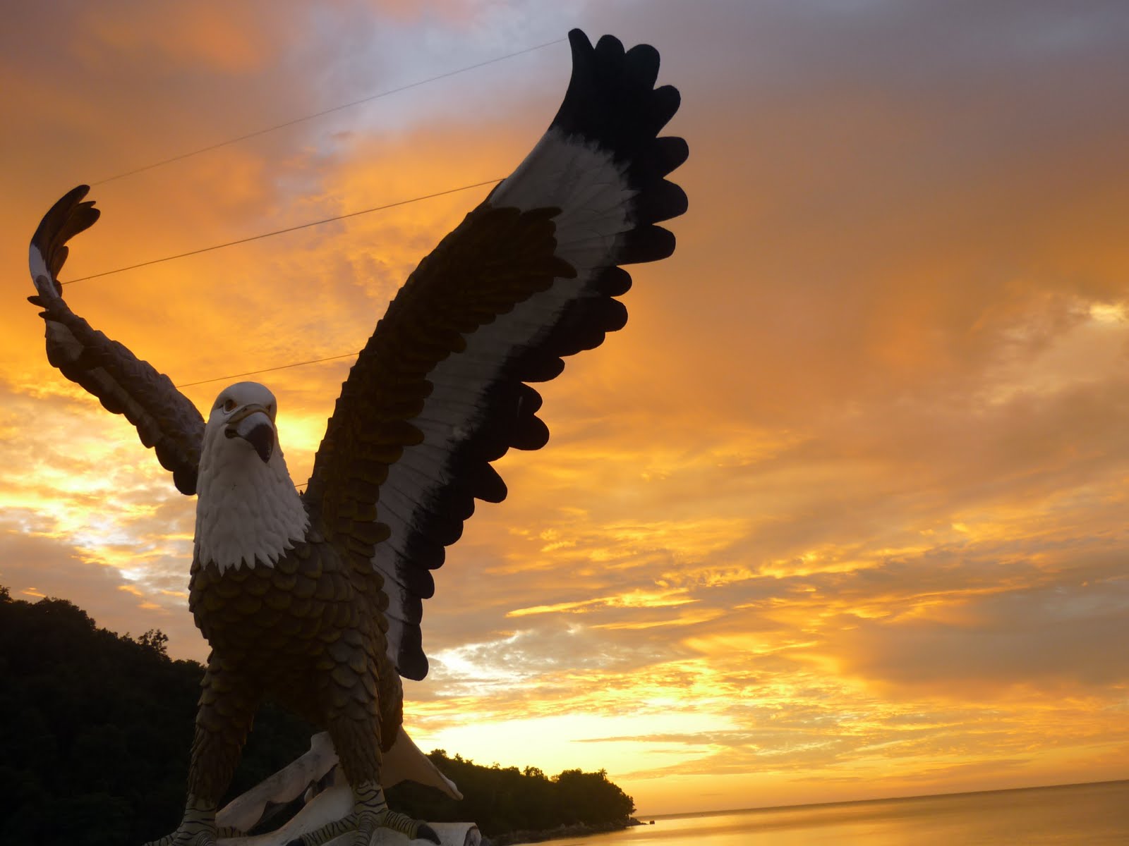 Lagenda Burung Api Phoenix - Çh¿GàLåx¥