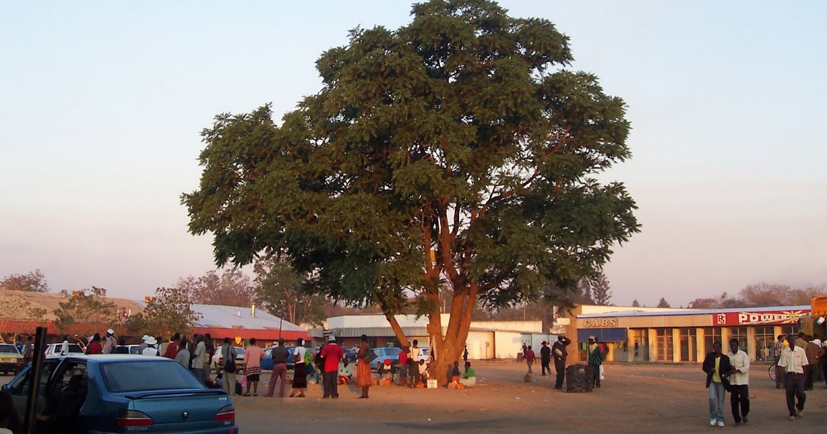 School Building - Zimbabwe: Chegutu