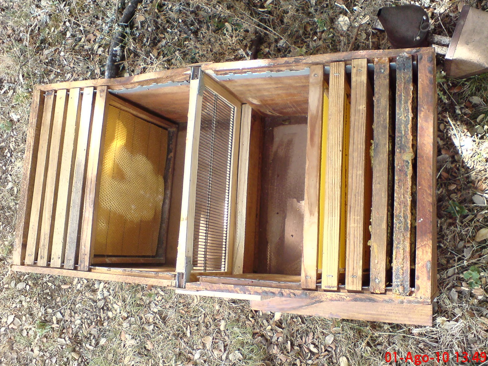 .: Colmeia para multiplicar enxames.