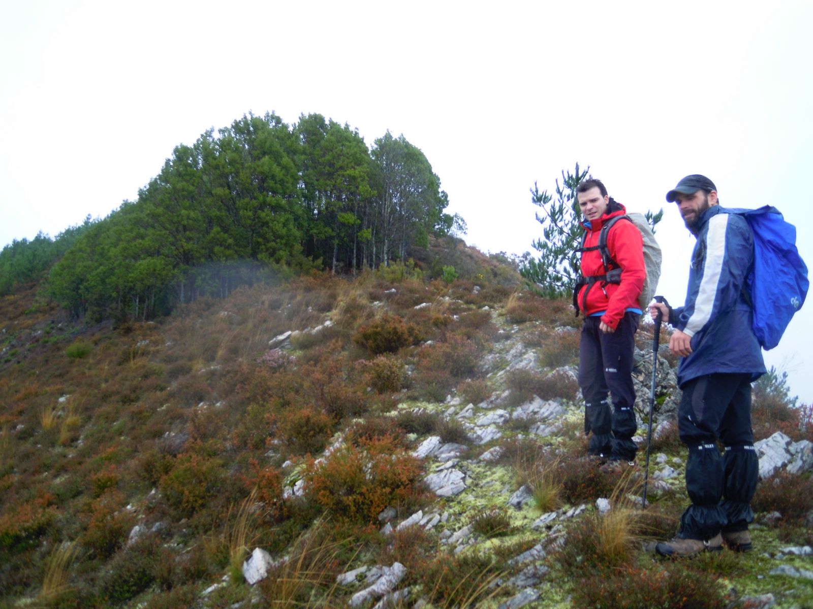 Camudando'l camín: L'Alisu (Cangues d'Onís) - Monte Faes