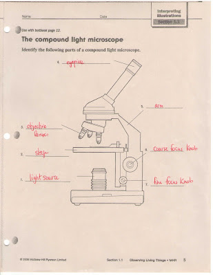 Q: Parts of a Compound Microscope