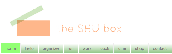 in with the new - The Shu Box