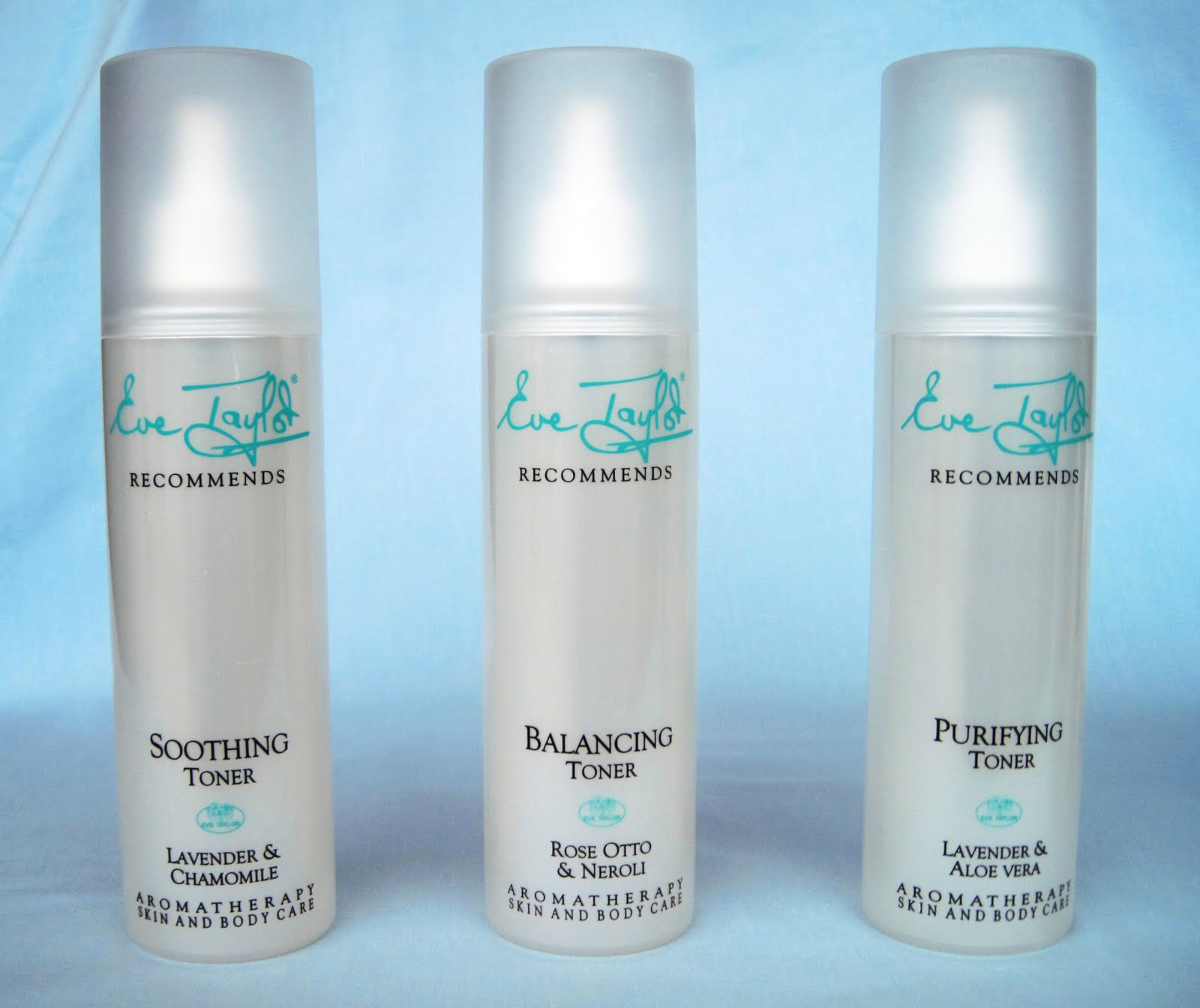 Beauty and Wellness: Eve Taylor Skin Care