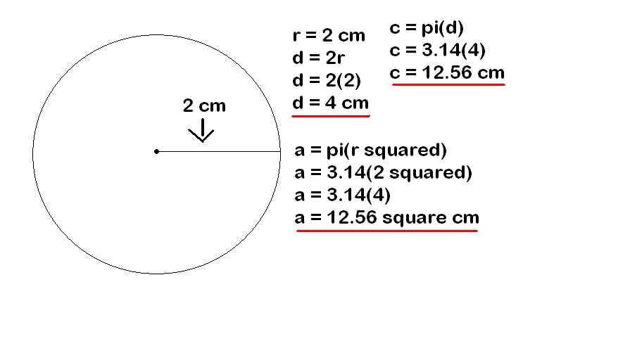 873 Math (2010): Meldrick's Circle Surface Area Post