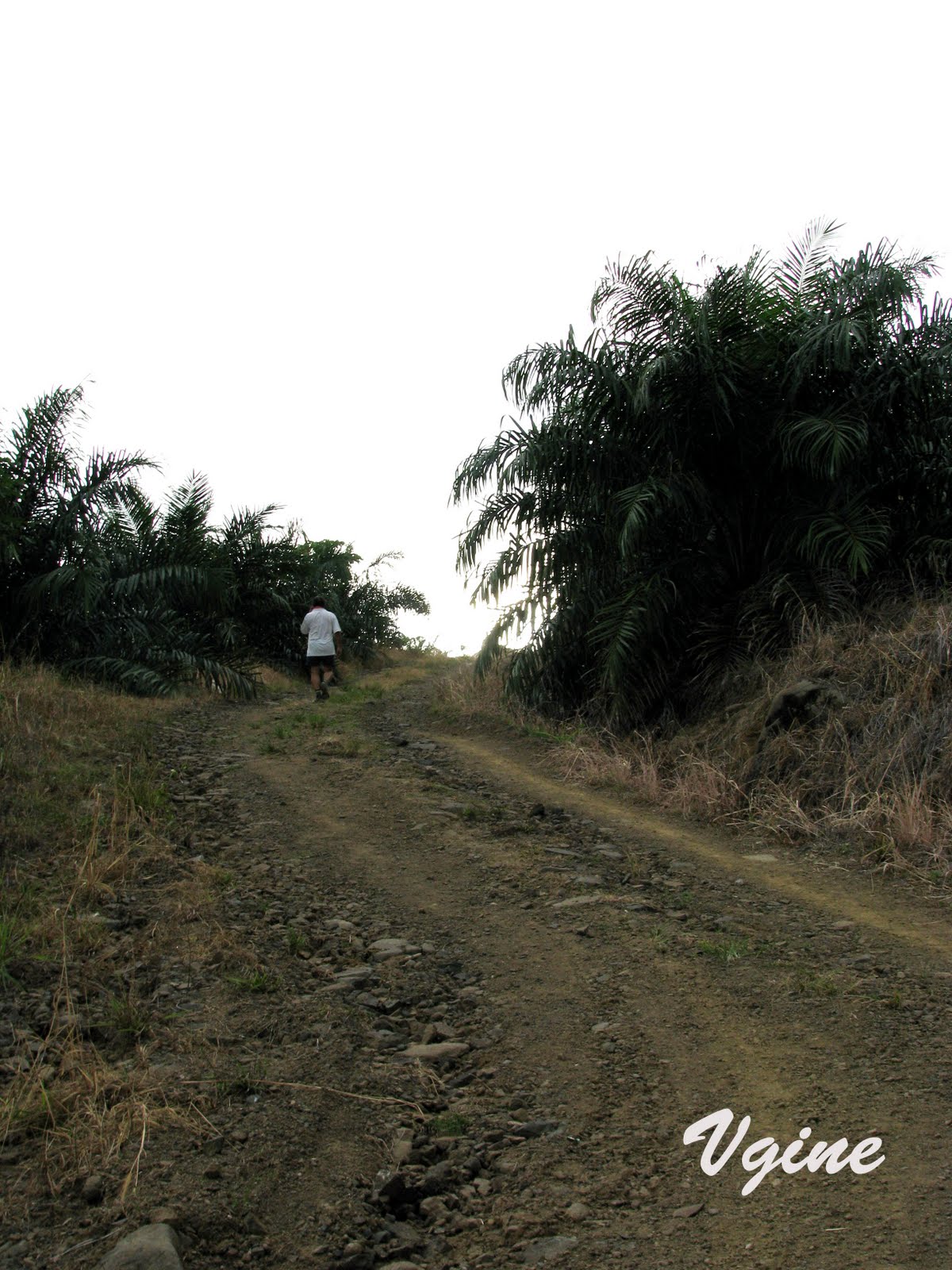 Discover the best in life: Lim Moi Kui Hills, Tawau