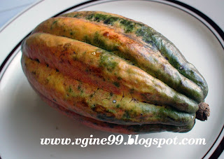 Discover the best in life: Melaka -- D'Paradise Tropical Fruit Farm