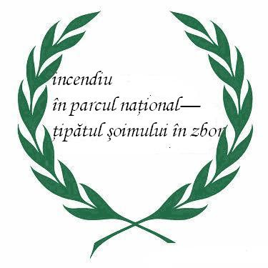 OGLINDIRI: DAN DOMAN, BUCUREŞTI - POEME PREMIATE 1996- 2002