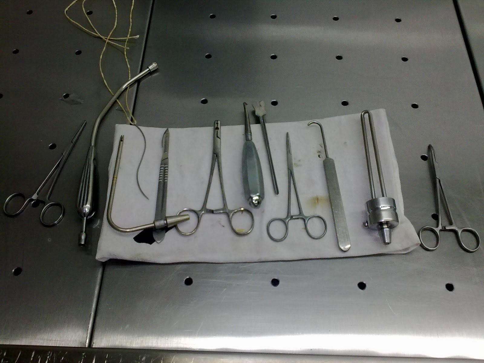 Th3 helL d0or´S r0aD: proceso de embalsamado