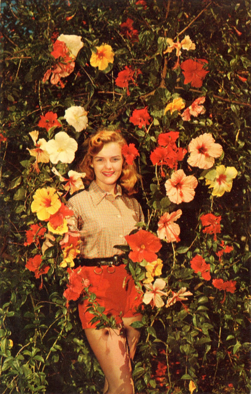 Vintage Chrome Postcards: Hibiscus Pinup Girl