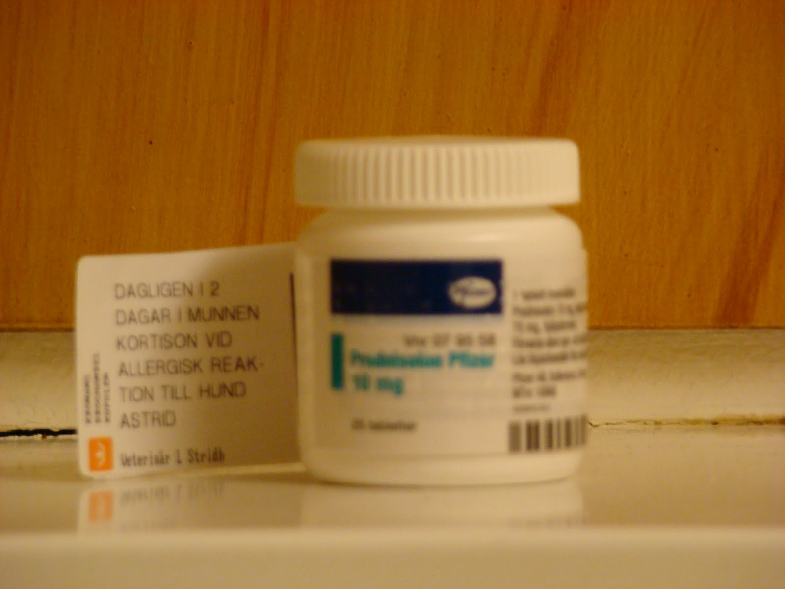 Hur mycket kostar det att äga två hundar: Kortison tabletter