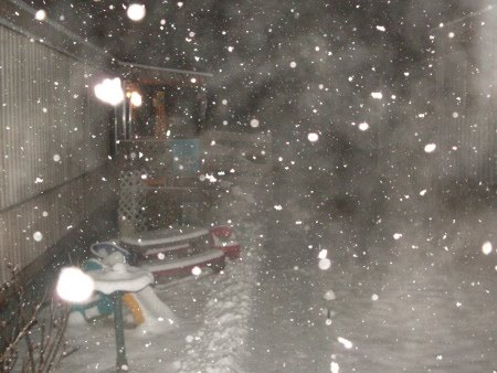 The High Knob Landform: ADDING UP SNOWFALL: Winter 2009-10