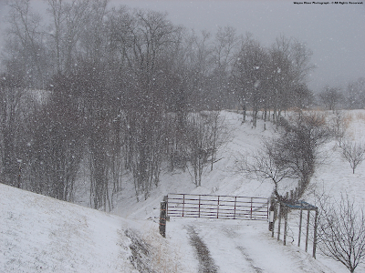 The High Knob Landform: February 2010 - Month of NW Flow Snowfall