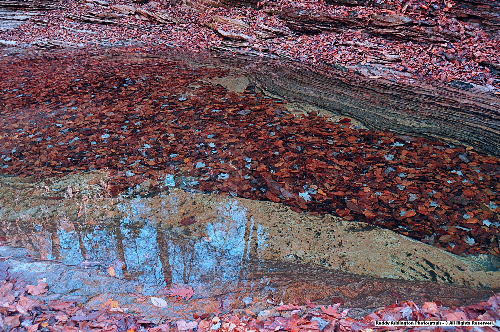 The High Knob Landform: Devil Fork Basin & October 2010 Recap
