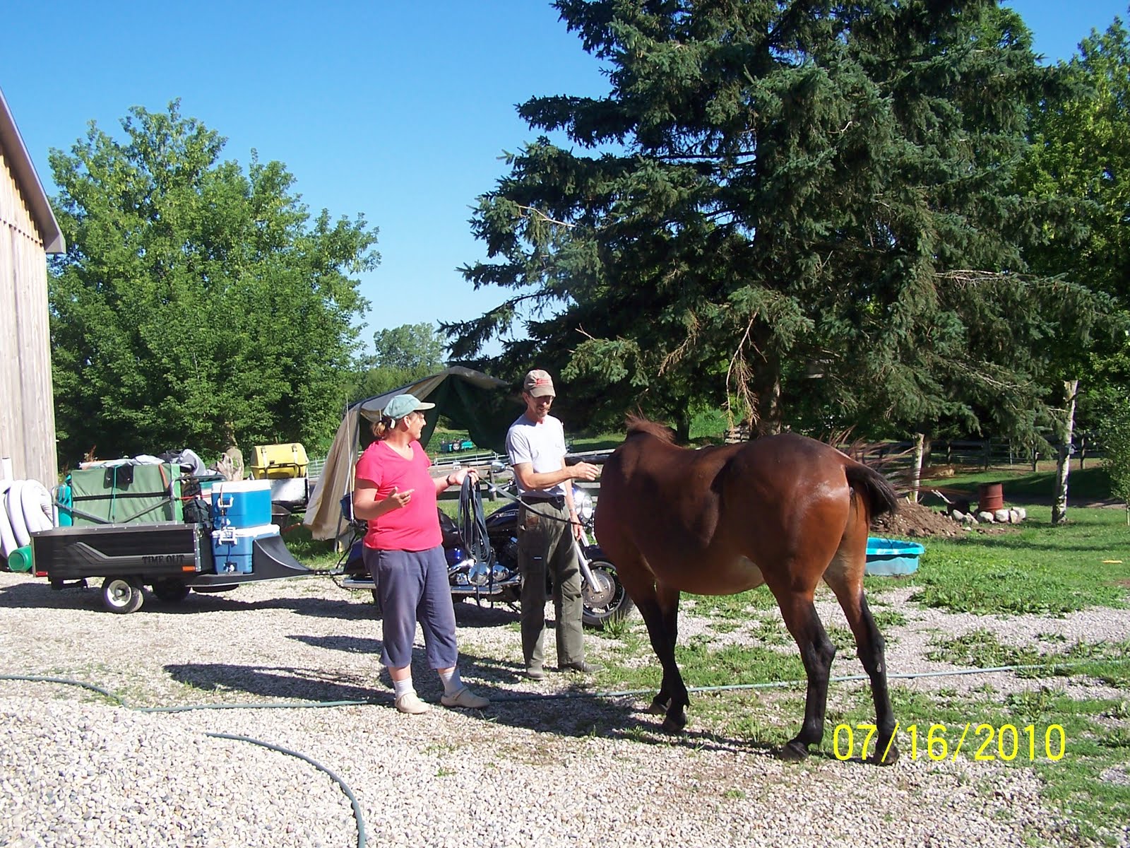 Tales of a Competitive Trail, Endruance and Pleasure Rider: SD ...