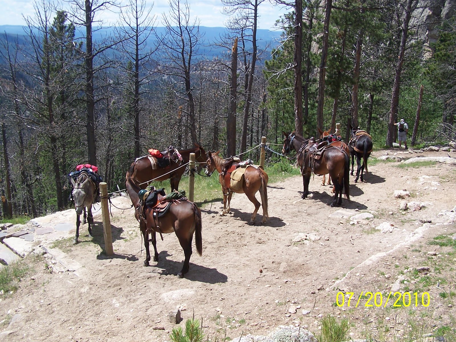 Tales of a Competitive Trail, Endruance and Pleasure Rider: SD ...