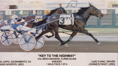 All About Standardbreds: The difference between a pacer and a trotter