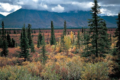 C.$ocial3$ díí $aanDri: Clima continental(Zona templada)