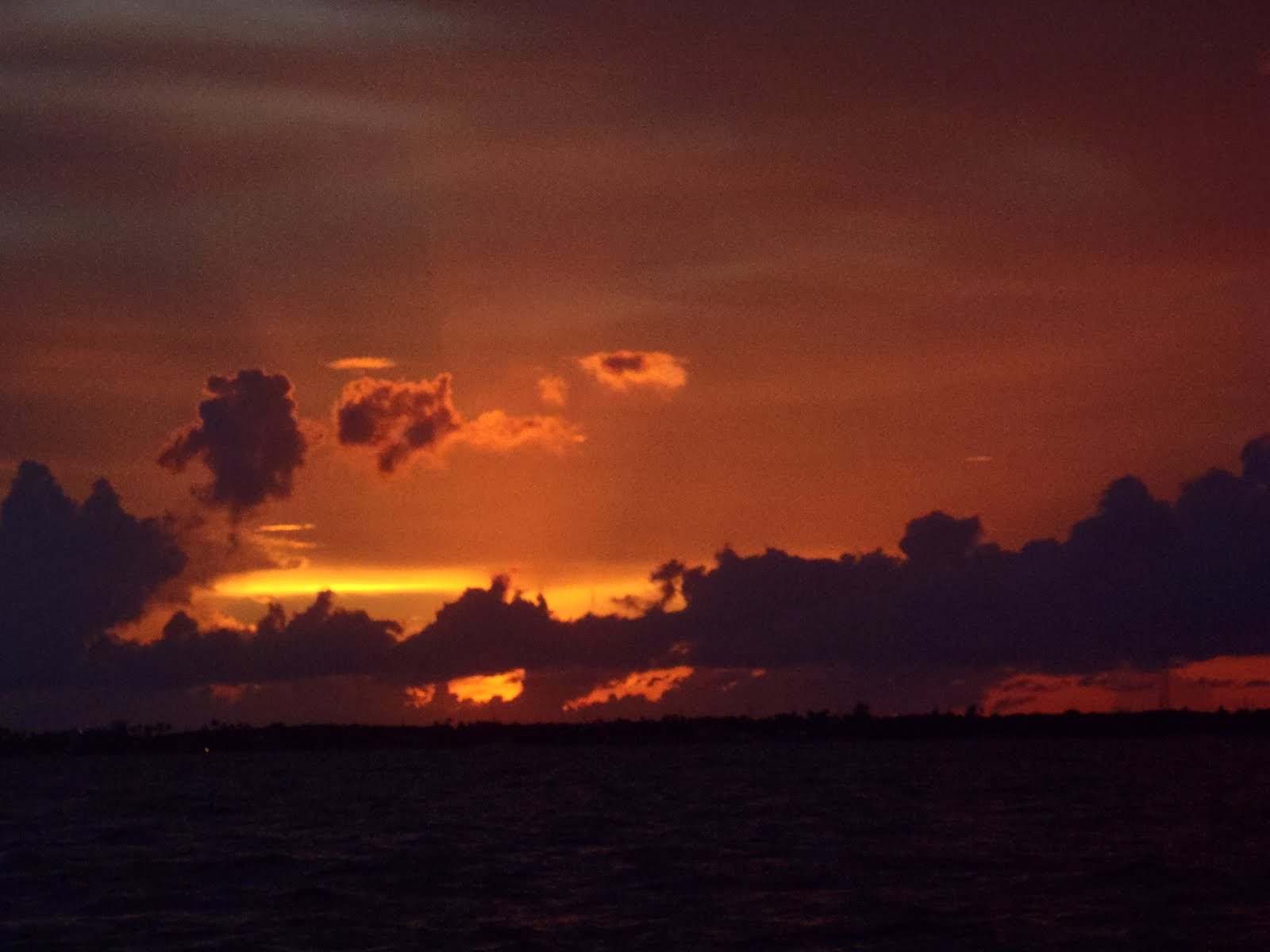 Keys Marine Laboratory Blog: Hot Summer Nights on the Reef