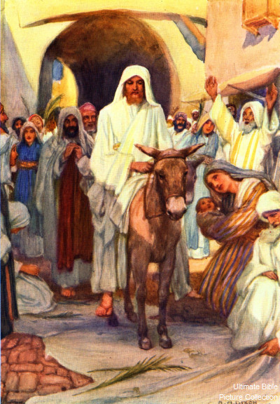 Chasing Their Hearts: Daily Devo- Luke 19: 28-40 "Obedience and Praise"