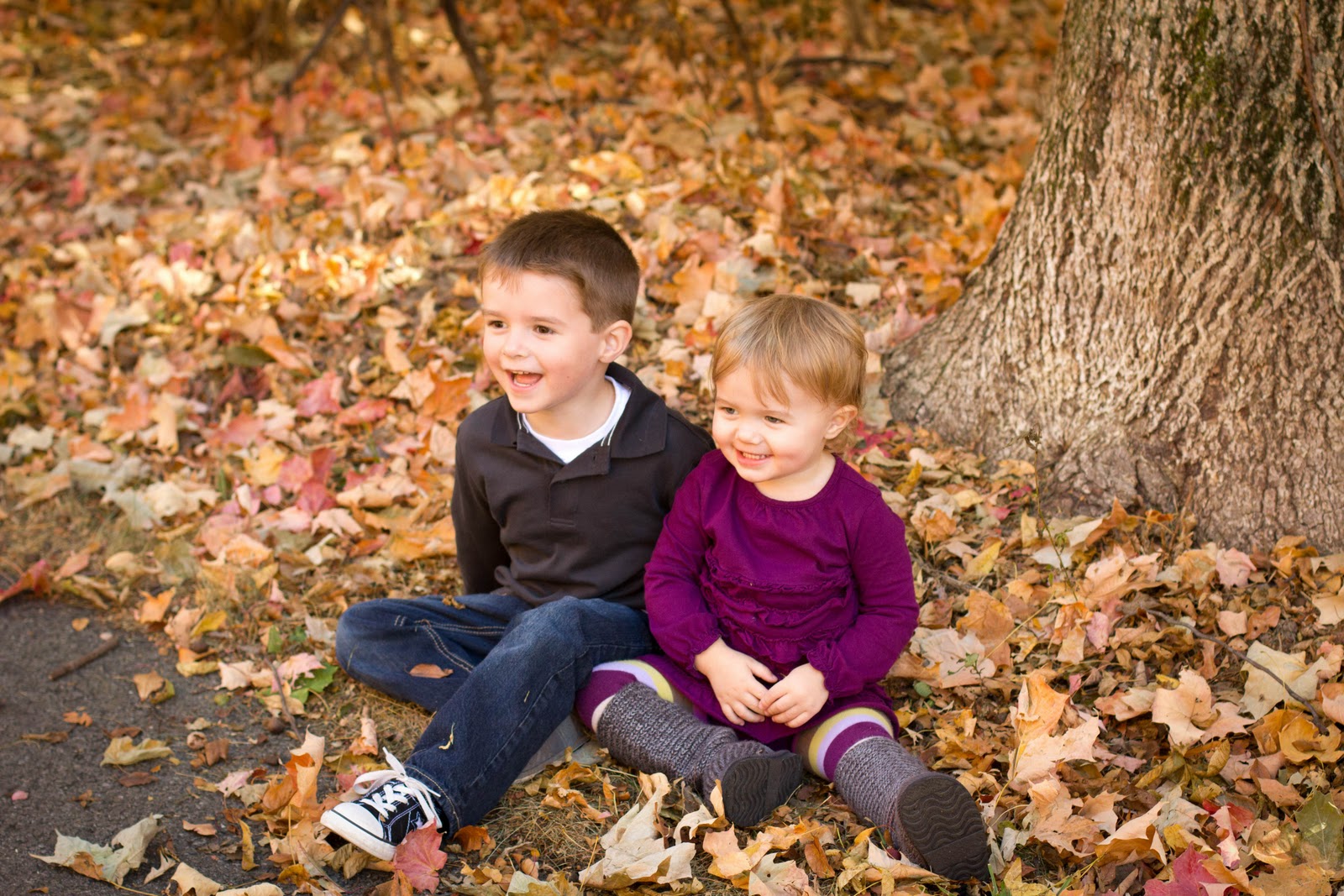 Brandy Dawson Photography - Indianapolis newborn, child & senior ...