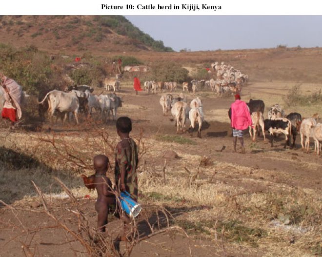 Jim and Judys Wycliffe Journey: God speaks to the Borana people—nomadic ...