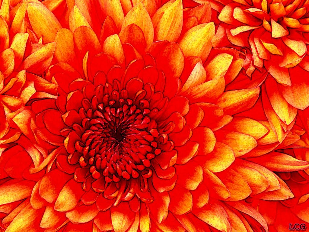 Imágenes chulas: Decoradas por la autora,Flores: