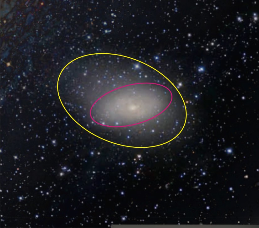 Infobservador: Estructura interna de M110
