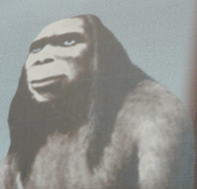 TatraMan: THE HOMINIDS OF HUBEI: Monsters,Museums & Military Bases