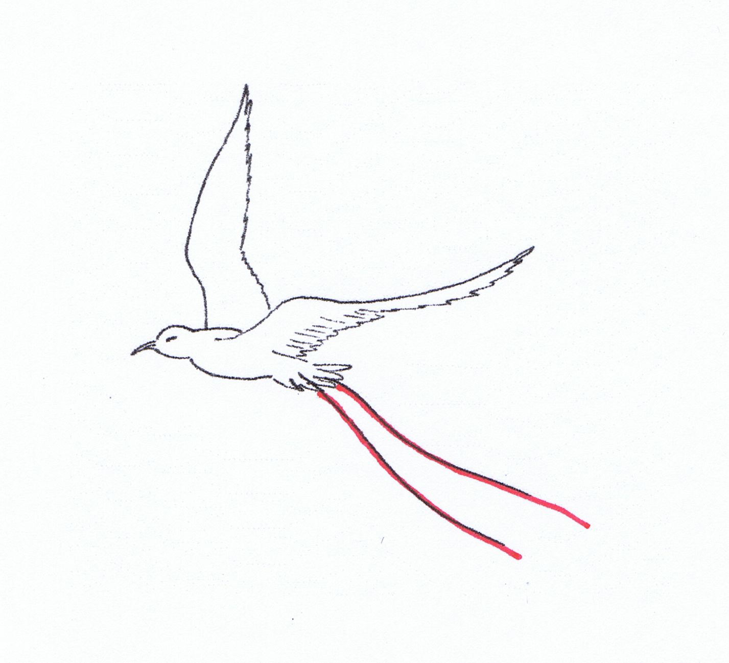 des couleurs et des mots: Sur l'eau et dans les airs