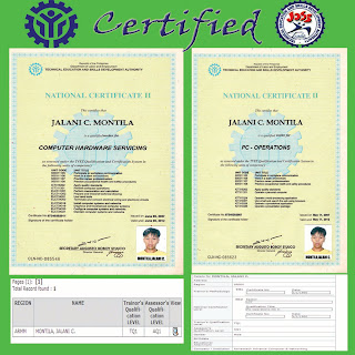 INTERNET SPECIALIST: June 2009