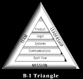 Rich Dad Summaries: B-I triangle, intro