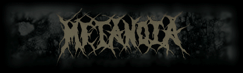 Metanoia Forever: COMO A ÁGUIA DESPERTA A SUA NINHADA