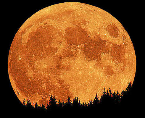 Nosso Portugal: Lua Amarela o Porque