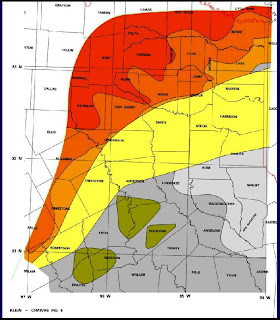 Haynesville Shale Natural Gas Blog: Haynesville Shale Maps in East Texas