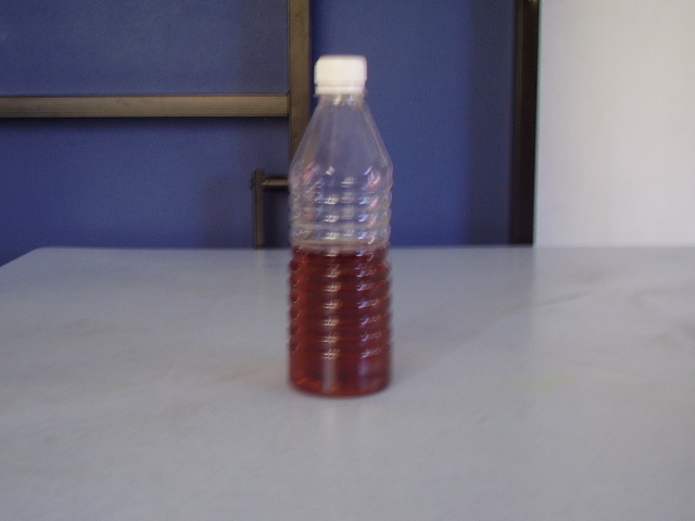 HBMT 2103 Teaching Mathematics in Year Two: Lesson Plan for Low Achievers