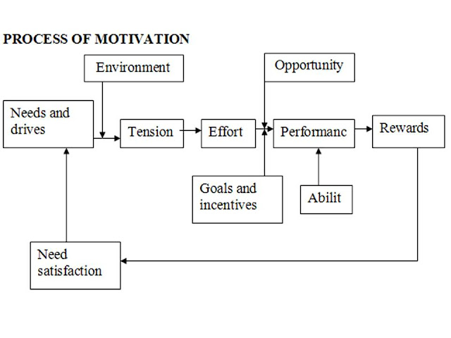 Consumer Behaviour: Motivation