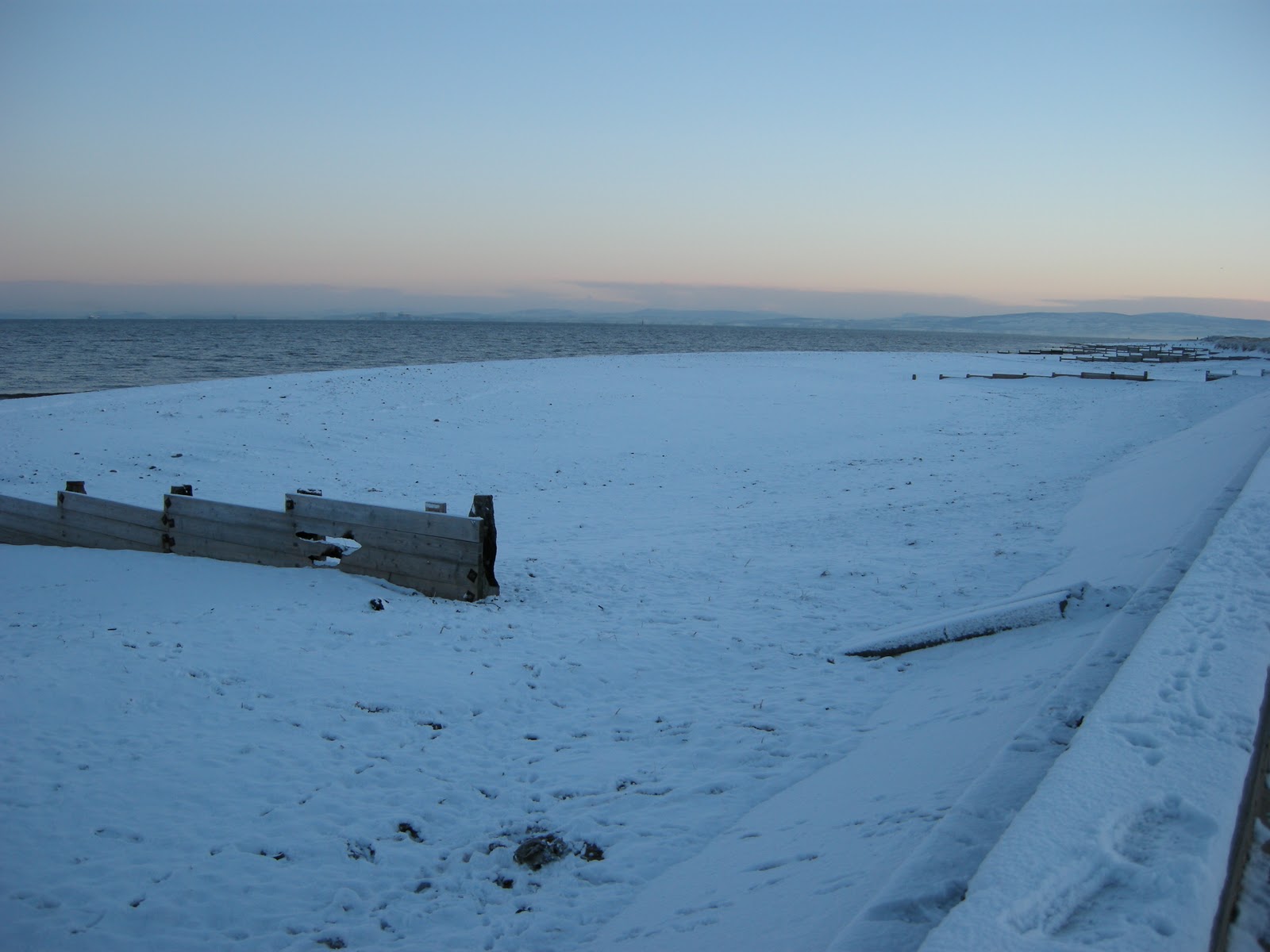 The Hairy Birder: Frozen Beach
