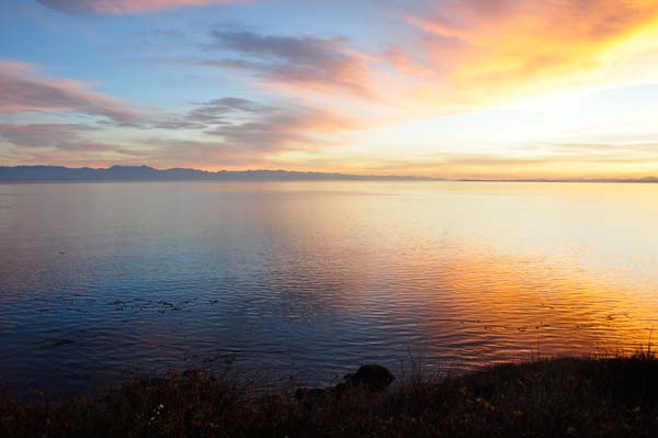 Orca Watcher: October Sunshine: Catching Up