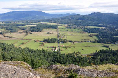 Orca Watcher: A Macro Look at Turtleback Mountain