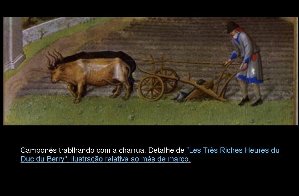 História Medieval: Charrua