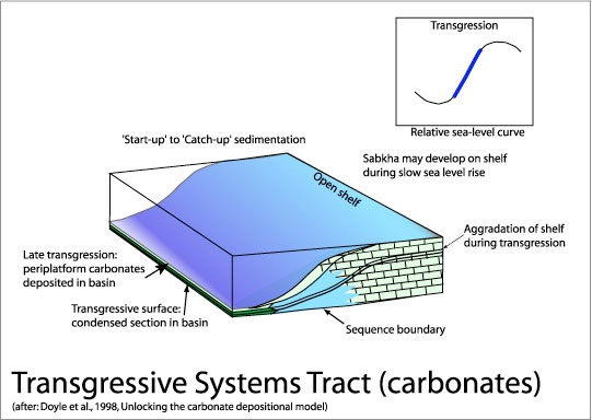 PETROLEUM GEOLOGY: Transgressive Systems Tract