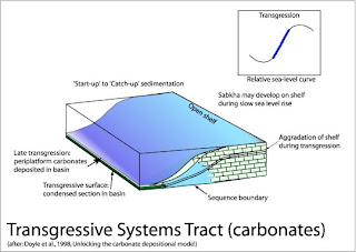 PETROLEUM GEOLOGY: Transgressive Systems Tract