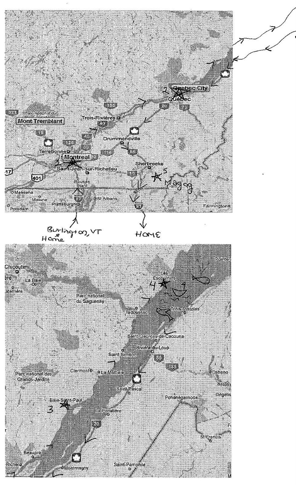 Adventures with a Sensitive Sally